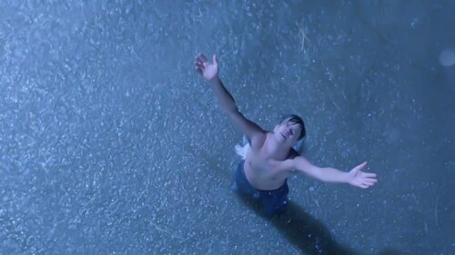 The Shawshank Redemption (1994) • Screenplay - 8FLiX