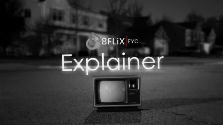 Transcripts Database - 8FLiX